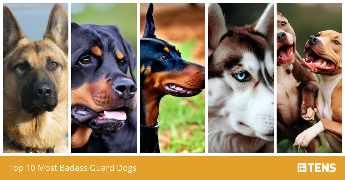 Top 10 Most Badass Guard Dogs