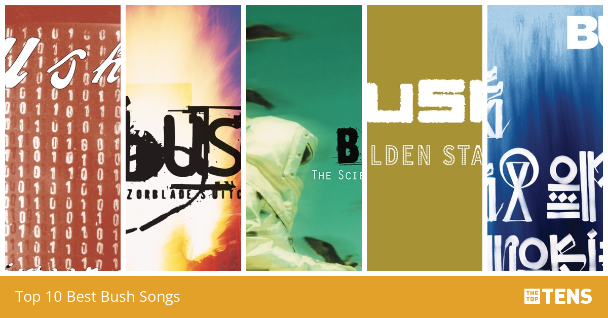 Top 10 Best Bush Songs
