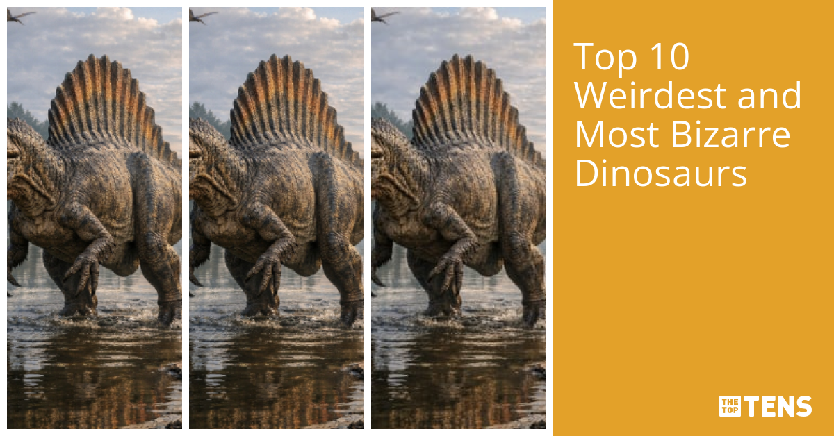 Top Ten Weirdest and Most Bizarre Dinosaurs - TheTopTens