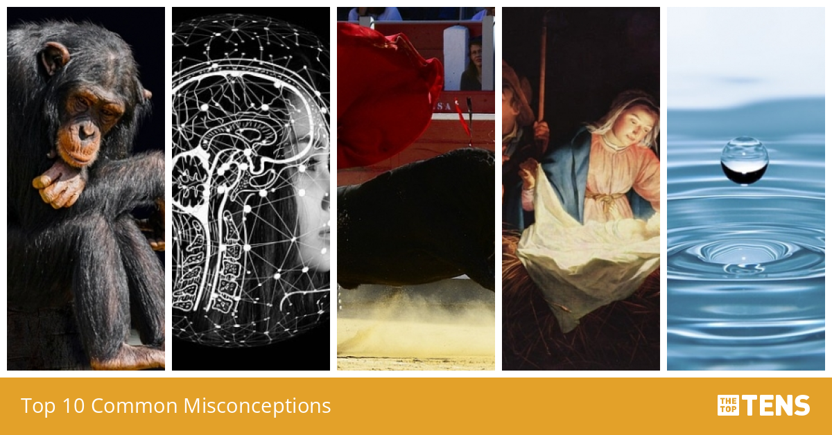 Top 10 Common Misconceptions
