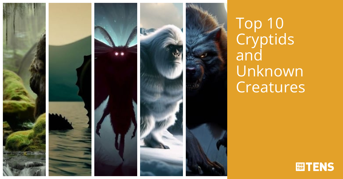 Top 10 Cryptids and Unknown Creatures - TheTopTens