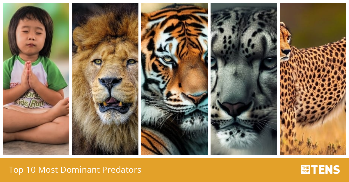 Top 10 Most Dominant Predators