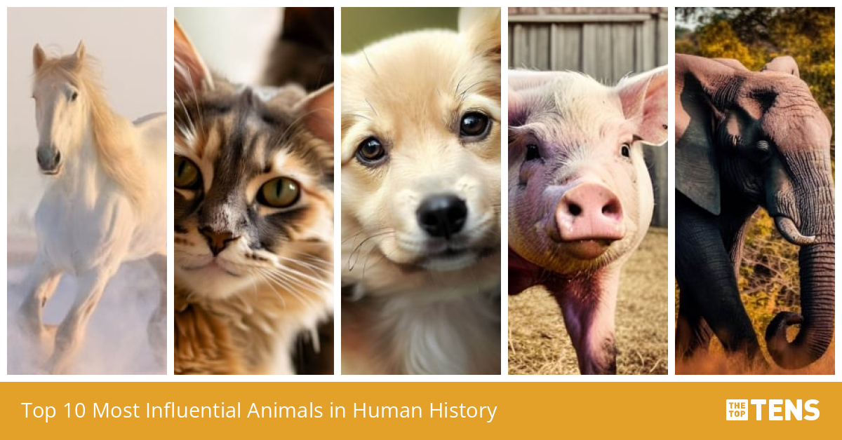 Top 10 Most Influential Animals in Human History