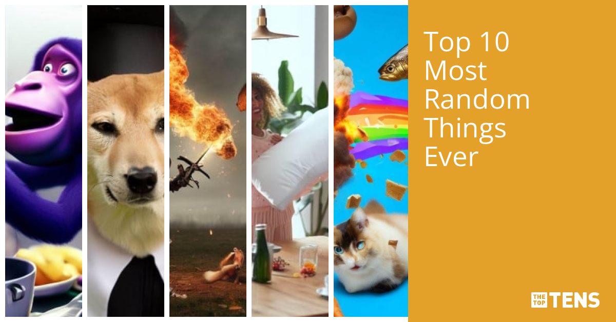 Top 10 Most Random Things Ever - TheTopTens