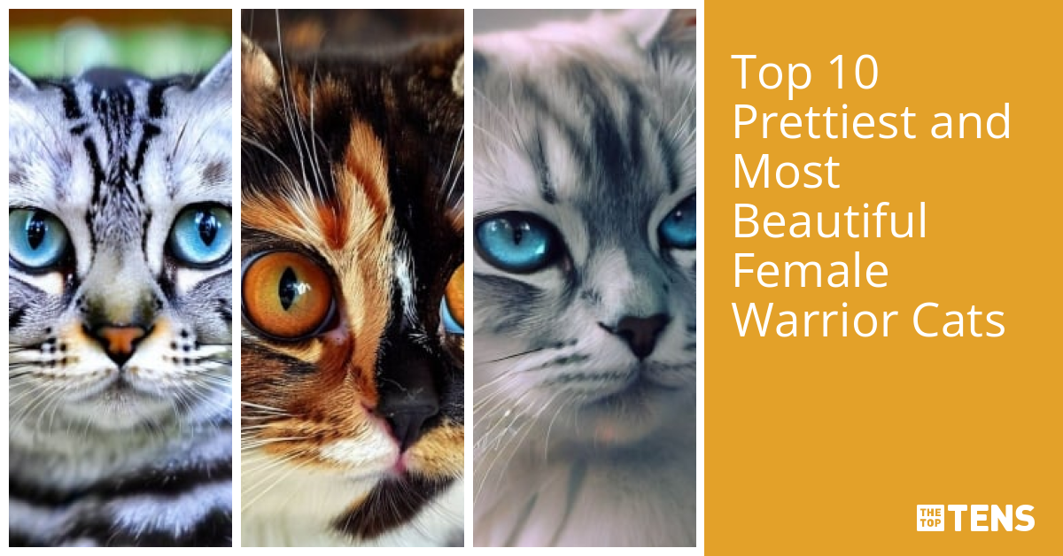 Top 10 Prettiest and Most Beautiful Female Warrior Cats - TheTopTens