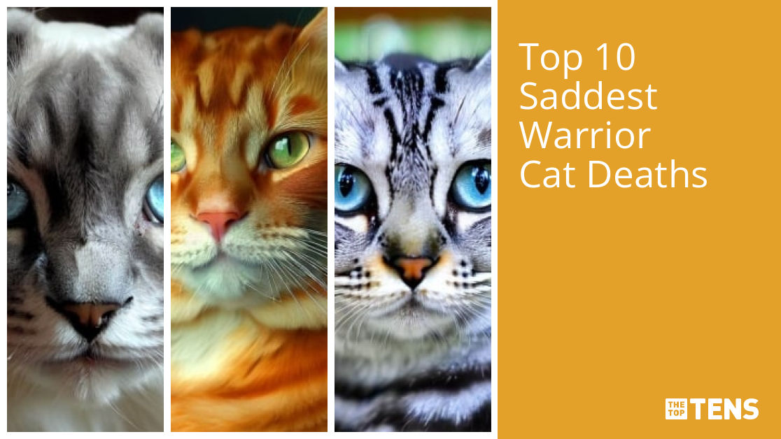 Sad Warrior Cats Deaths