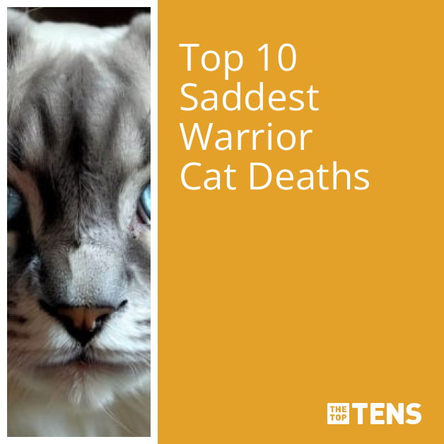 Sad Warrior Cats Deaths