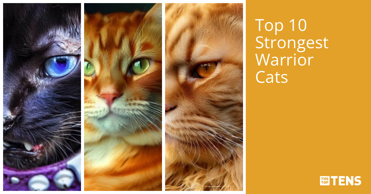 Top 10 Strongest Warrior Cats - TheTopTens