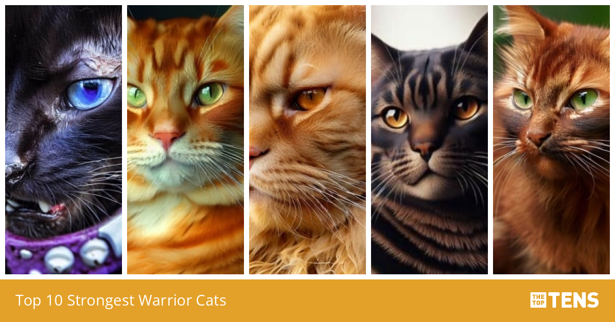 Top 10 Strongest Warrior Cats