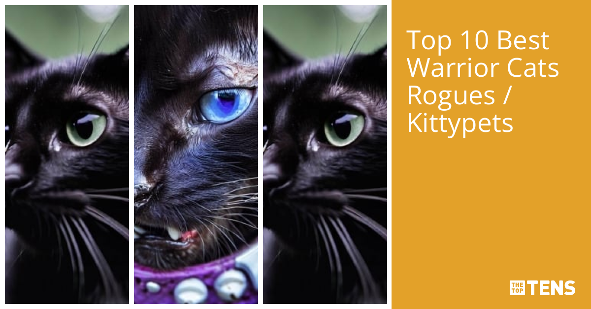 Top 10 Best Warrior Cats Rogues / Kittypets
