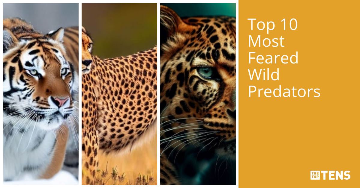 Top 10 Most Feared Wild Predators