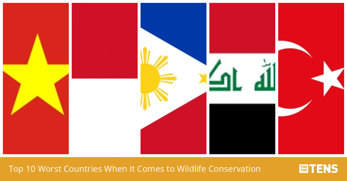 Top 10 Worst Countries When It Comes to Wildlife Conservation