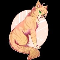 Top 10 Prettiest and Most Beautiful Female Warrior Cats - TheTopTens