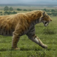 Top 10 Facts About Saber-Toothed Cats