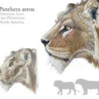Top 10 Facts About Saber-Toothed Cats