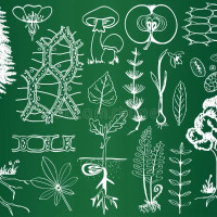 Top 10 Most Important Science Subjects Taught in Schools